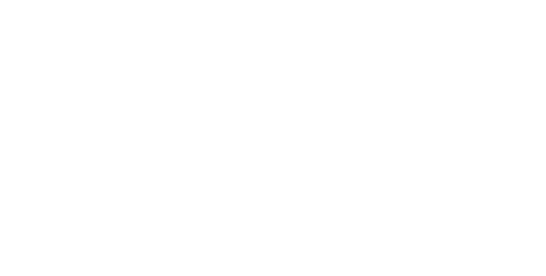 Funpulsefin